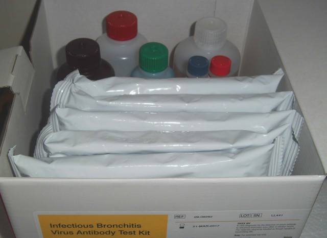 CV. Bahana Semesta Sejahtera ( BSS )